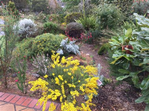 Gardening With Native Plants Australian Plants Society