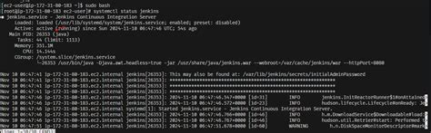Installing Jenkins On Ec2 Instance 2025 A Step By Step Guide Codeeaze