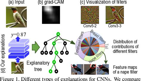 Figure 1 From Interpreting Cnns Via Decision Trees Semantic Scholar