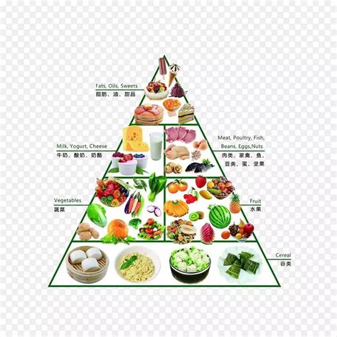 膳食补充剂食物金字塔营养健康饮食金字塔健康饮食指南png图片素材下载 图片编号227892 Png素材网