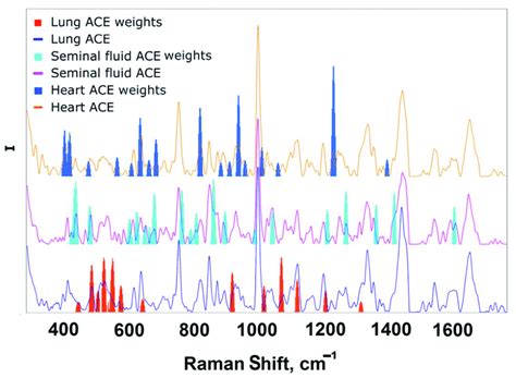 Feature Importance Analysis Of Trained Lda Model Bar Plots Indicate