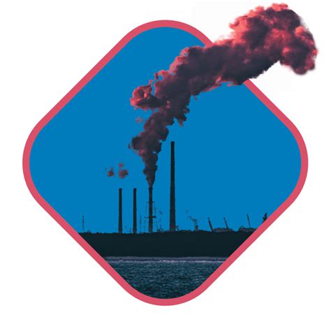 Rupa Health Becoming A Toxdetective Using Toxicant Testing In The