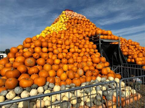 Best Pumpkin Patches In Essex ⋆ Jupiter And Dann