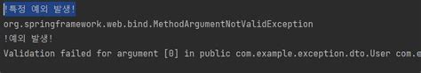 Springboot4 Exception 처리
