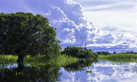 Parque Nacional Do Pantanal Mato Grossense Passa A Ter Gestão
