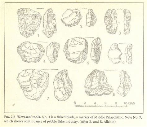 Nevasa - Jatland Wiki