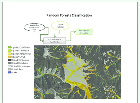 flow diagram of the random forests classification procedure and an