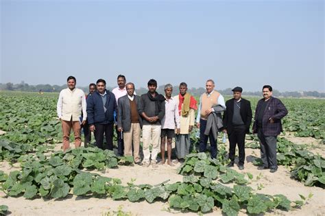 उत्तर प्रदेश कृषि अनुसंधान परिषद के महानिदेशक ने भारतीय सब्जी अनुसंधान