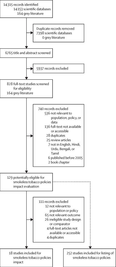 The Global Impact Of Tobacco Control Policies On Smokeless Tobacco Use