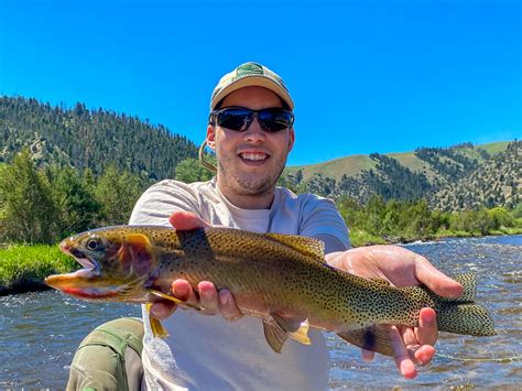 Trout Fishing Montana Montana Trout Outfitters