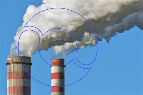 What Is A Carbon Calculator And How Can You Use One