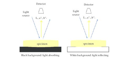 schematic diagram of color measurement for calculation of the tp value