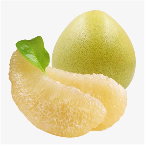 Png Png Kuaipng