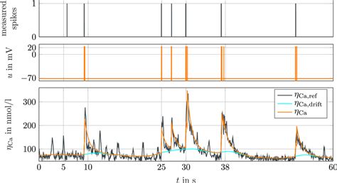 Emulation Results For Mimicking The First Exemplary Visual Cortex