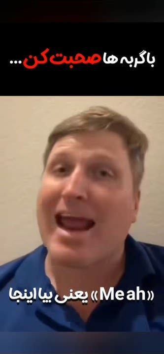 با زبان گربه ها صحبت کن ولی این حرکت رو گوربه ما جواب نداد گربه