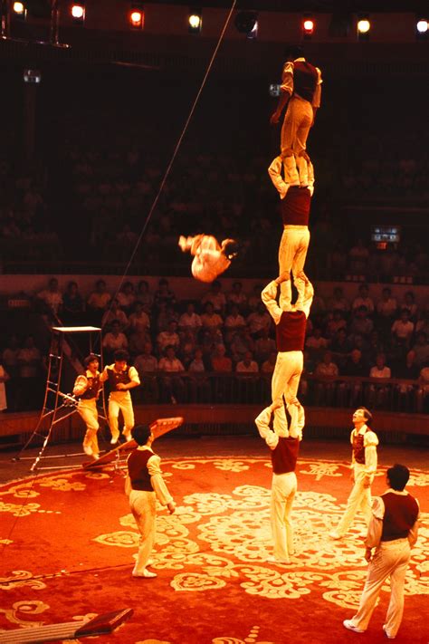 Acrobatics Wikipedia