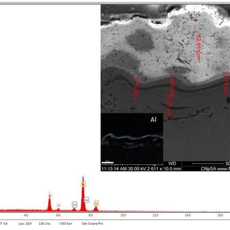 Specimen Microstructure After 100 H Of Testing 4 Cycles Download