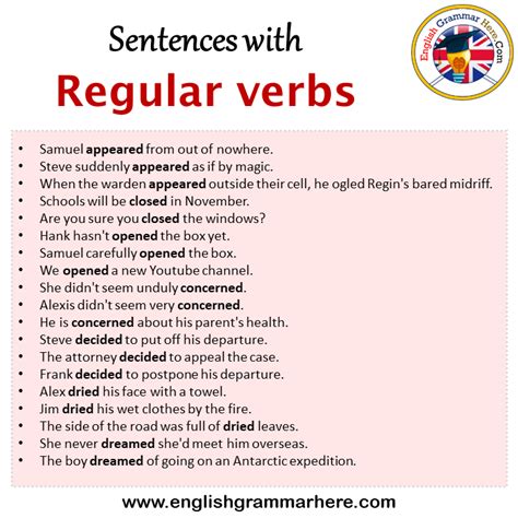 Sentences With Regular Verbs Regular Verbs In A Sentence In English