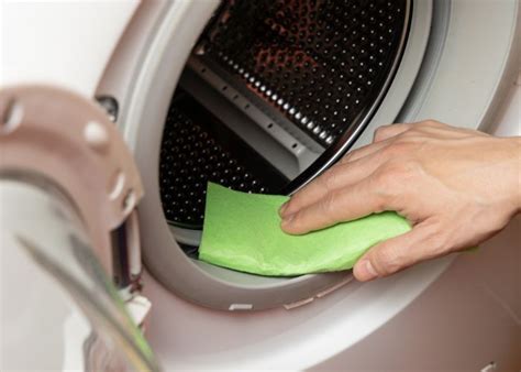 Un Truco Eficaz Para Quitar El Moho De La Goma De La Lavadora