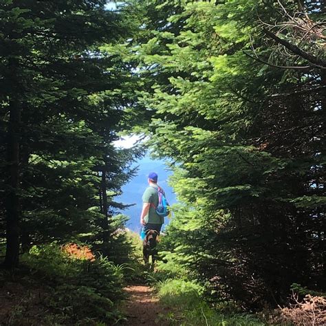Marys Peak Trail All You Should Know Before Going 2026 With Reviews