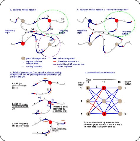 simplified comparison of computation download scientific diagram