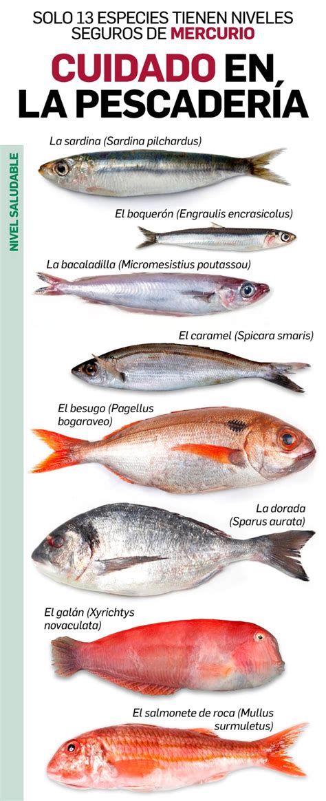 Alimentación Estos son los pescados más seguros por sus bajos niveles