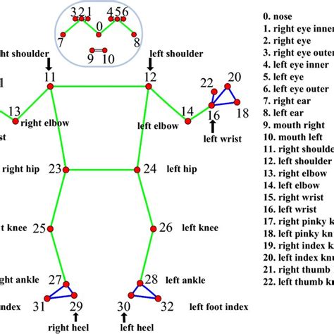 33 Joint Human Skeleton Model Of 3D Human Pose Estimation Based On