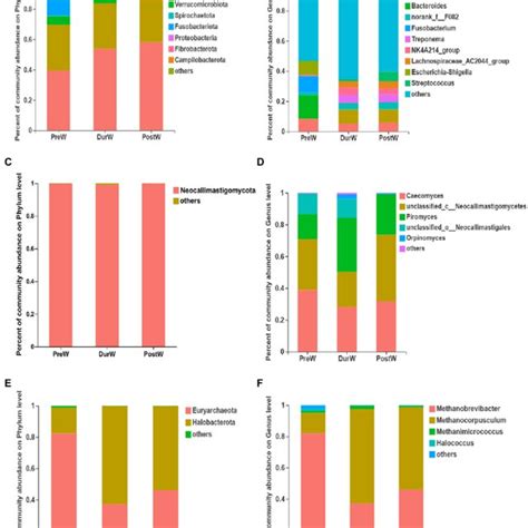 Difference Of The Predominant Microbiota At Genus Level Among Different