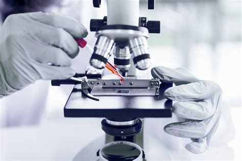 What Is Optical Genome Mapping