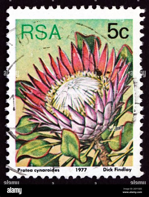 South Africa Circa 1977 A Stamp Printed In South Africa Shows King