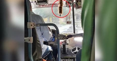 No Eso No Es Un Llavero Un Chofer De Colectivo Se Hizo Viral Por