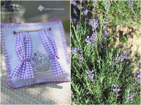 Žydinti Svajonių Pieva Lavender