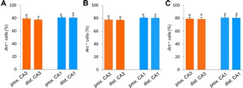 Task Induced Arc Expression In Proximal And Distal Parts Of Ca3 And Ca1
