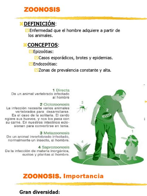Zoonosis Y Metaxénicas Pdf Fiebre Amarilla Medicina Veterinaria