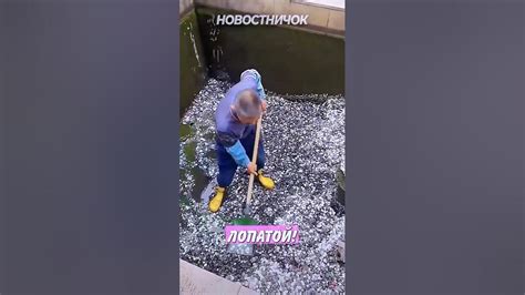 Не шутка: гребут деньги лопатой целыми днями! | Новостничок - YouTube