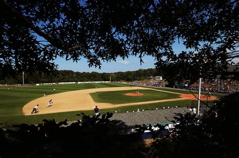 Florida Gators Baseball Latest News And Updates