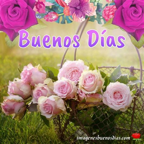 25 Imágenes Buenos Días Con Flores Y Rosas 🌹