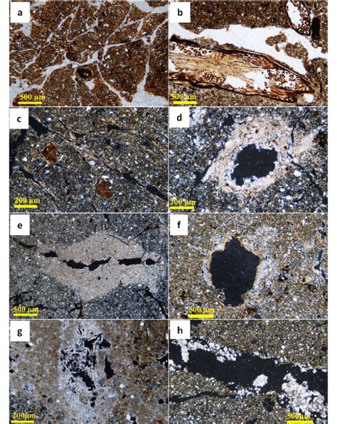 A Well Separated Angular Blocky Microstructure In Bt1 Horizon Of