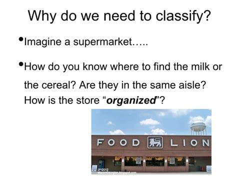 Taxonomy Slides Classification Evolution Unit By The Science Of Science