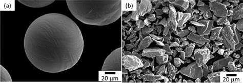 The Microstructure Of A Prep Processed Pure Titanium And B Tih 2