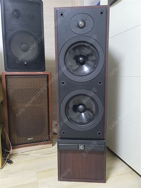 모던쇼츠 Ms 50i 스피커 판매 오디오홈시어터 중고나라