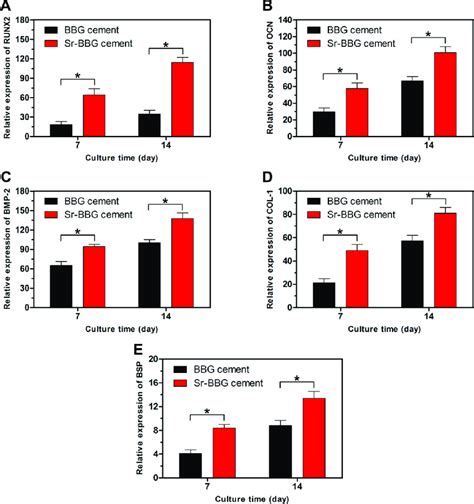 Osteogenic Gene Expression Of Runx2 A Ocn B Bmp 2 C Col 1 D
