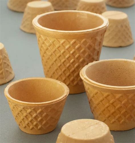 Edible Biscuit Tea Cup Box At Piece In Chennai ID