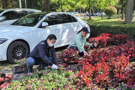 栽种草花，为校园添“靓”—后勤保障中心第五党支部开展主题党日活动 支部活动 上海交通大学后勤保障中心
