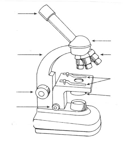 Microscope Elements Diagram Quizlet