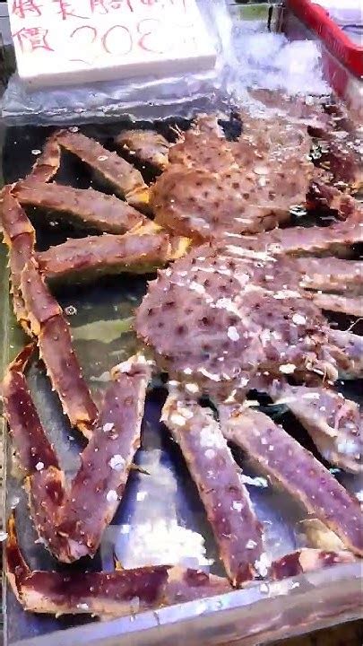 Kepiting Termahal Most Expensive Crab Shorts Youtube