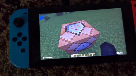 Secret Blocks In Minecraft Nintendo Switch At Timothy Mears Blog