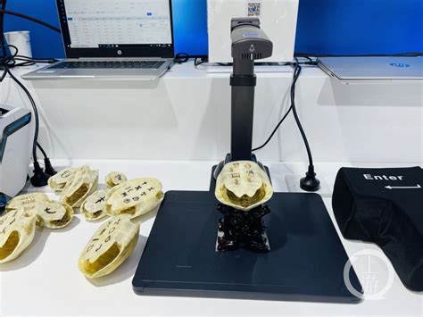 人工翻译人工翻译最新消息新闻图片视频聚合阅读新浪网