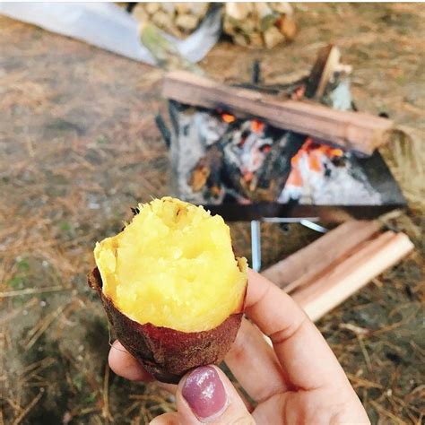 キャンプの焚き火で焼き芋！アルミホイルとキッチンペーパーで絶対失敗しない 千葉県勝浦｜リスッコ・ファミリーキャンプ場