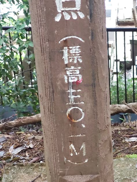 里見公園 最高標高地点 一発出来茶太郎の御用聞き
